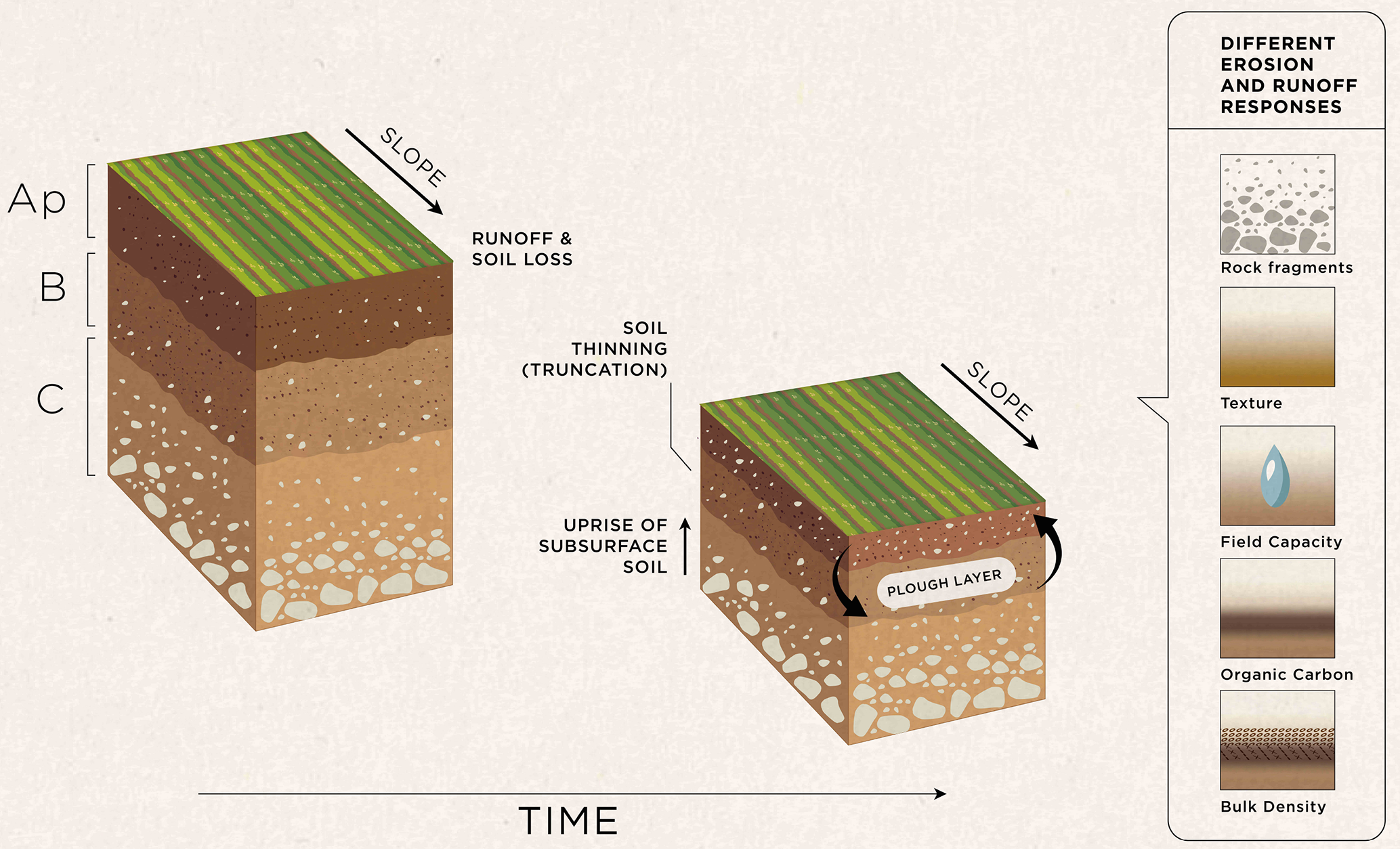 Soil Profile Soil Profile